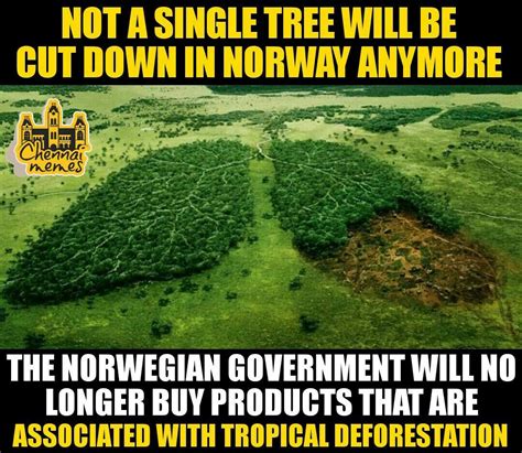 Deforestation Memes