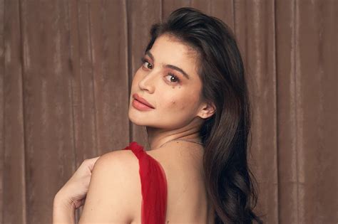 Anne Curtis Scandal Bikini Incident Family Net Worth