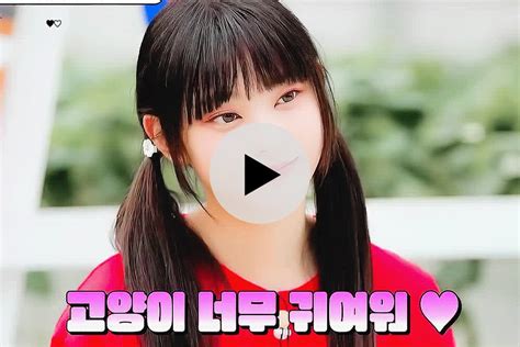 강해린 연예인잡담 에펨코리아