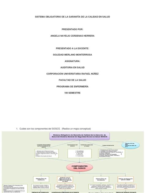Sistema Obligatorio De La Garantía De La Calidad En Salud Pdf Auditoría