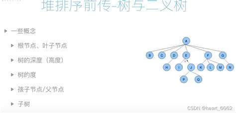 基本算法——堆排序——python实现堆排序 变治法 Python Csdn博客