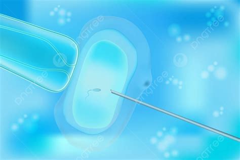 Understanding Reproductive Techniques In Vitro Fertilization Artificial
