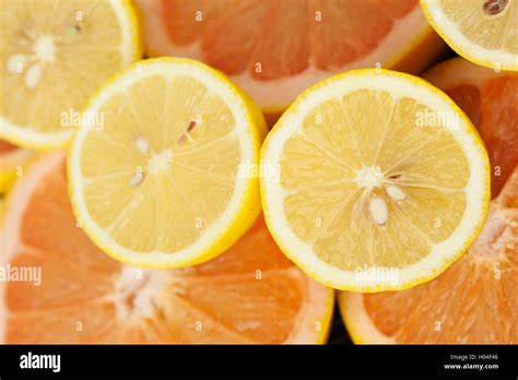 Group Of Fresh Citrus Fruits On A Table Mandarines Clementines