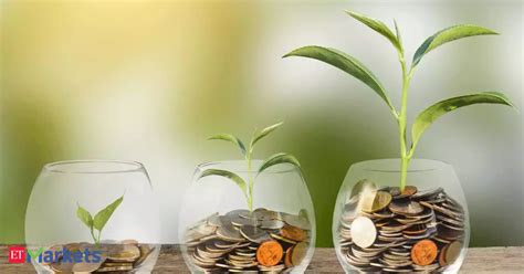 Data Vacuum An Opportunity For Time Correction In Nifty Anand James The Economic Times