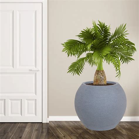 Medium Juniper Pot Nora