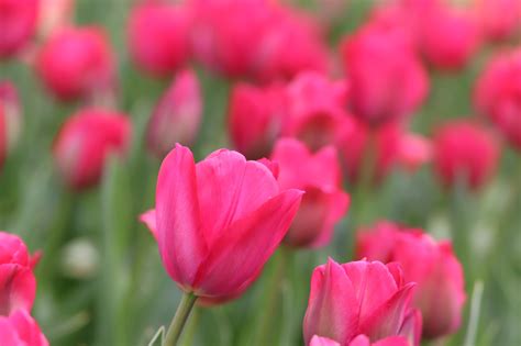 🌷🌼 Екопарк Варна отваря врати за посетители от 1 април 🌸🌞 С