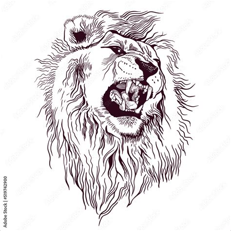 Roaring Lion Line Drawing