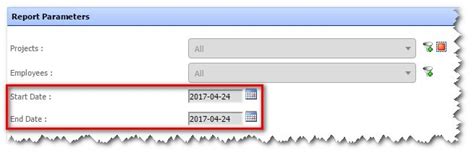 Report And Dashboard Parameters Ppo Support Portal