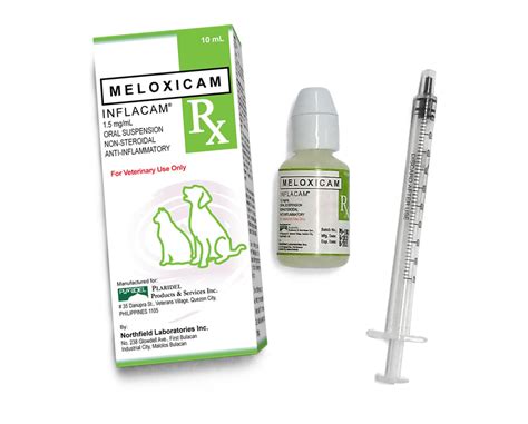 Inflacam 10ml 5mgml Non Steroidal Anti Inflammatory Drug Lazada Ph