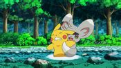 Minccino—Neat and Tidy! | Pokémon Wiki | Fandom