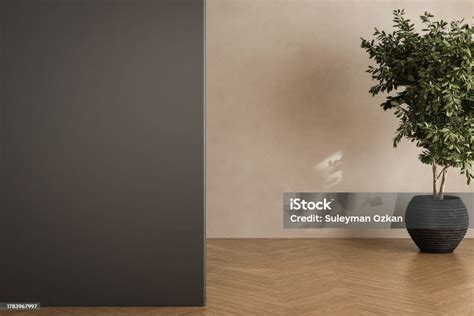 방 인테리어 빈 공간 배경 모형 햇빛과 그림자 방 벽 햇빛과 잎 그림자와 나무 빈 쪽모이 세공 마루 바닥 식물과 아늑한 여름 따뜻한 방 0명에 대한 스톡 사진 및 기타