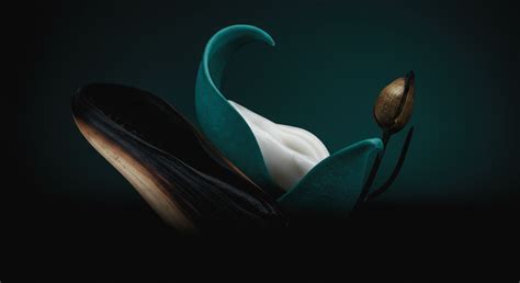 Enabling Environment → Term