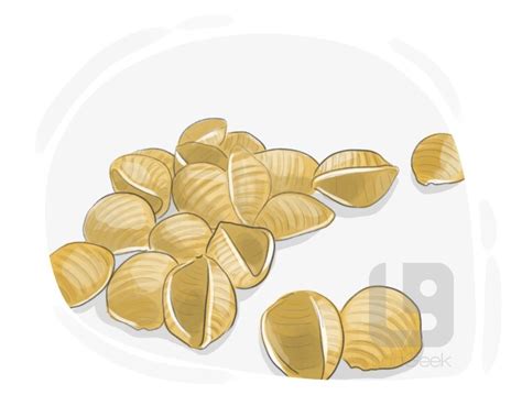 Definition And Meaning Of Shell Langeek