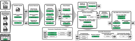 Bacterial Genomics Project