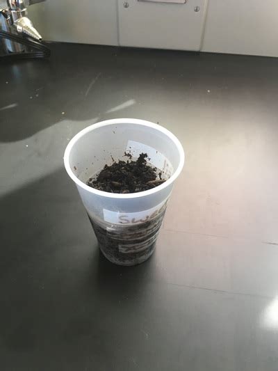 Ecosystem Project Day 2 Ecosystem Project