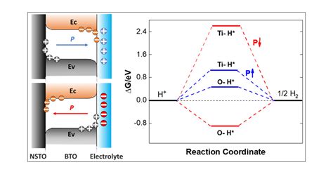 Ferroelectric Modulation Of Surface Electronic States In Batio3 For Enhanced Hydrogen Evolution