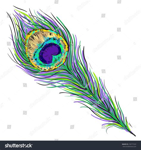 Vector Peacock Feather Illustration Isolated On White 278777333