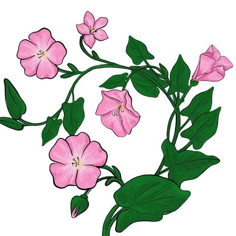 30 Types Of Weeds And How To Id Them Artofit