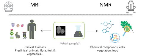 Nmr And Mri Samples Rs2d