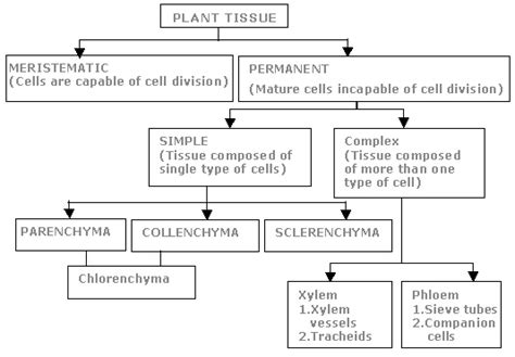 Pin On Soil Ecosystem