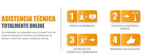 Infografia asistencia técnica informática Loyvan Servicios Empresariales
