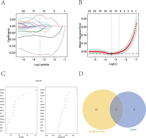Single Cell Sequencing Combined With Transcriptome Sequencing To Explo Jir