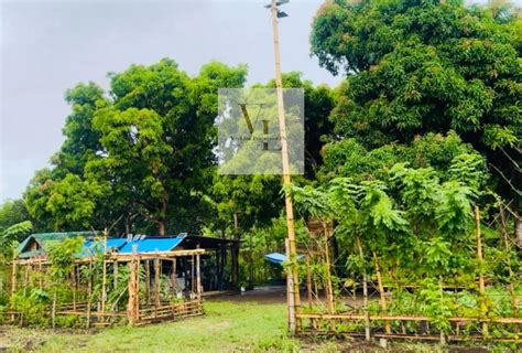 Todds Todds Added A New Photo