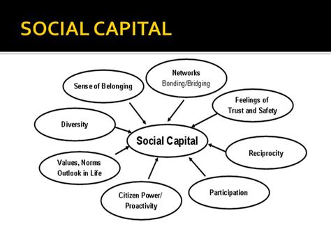Students Will Be Able To Learn What Is Social Capital Community Social