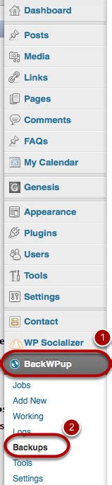 How To Download A Backup File Using The BackWPup Plugin StressLessWeb
