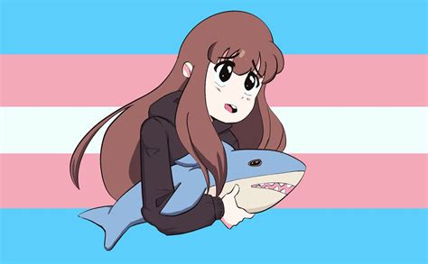 Boymoder Flags Rqueervexillology