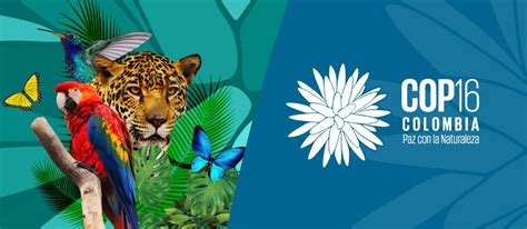World Lags Meeting 2030 Biodiversity Goals As Cop16 Talks Begin Sigma
