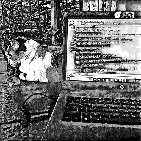 Portafolio