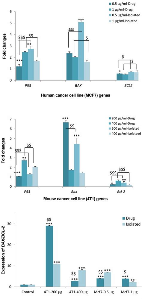 Mrna Expression Of Pro Apoptotic And Anti Apoptotic Genes A P53 Bax