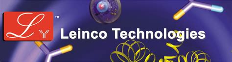 Careers Leinco Technologies