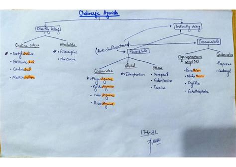 Solution Ans Drugs Classification Table Adenergic Cholinergic Agonists