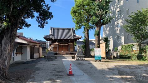 【川崎市中原区】武蔵新城駅から徒歩約15分、9月16日、17日は関神社にて例大祭が開催されます！（tomatosan） エキスパート
