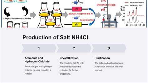Salt Analysics Investigatory Project Class 11pptx