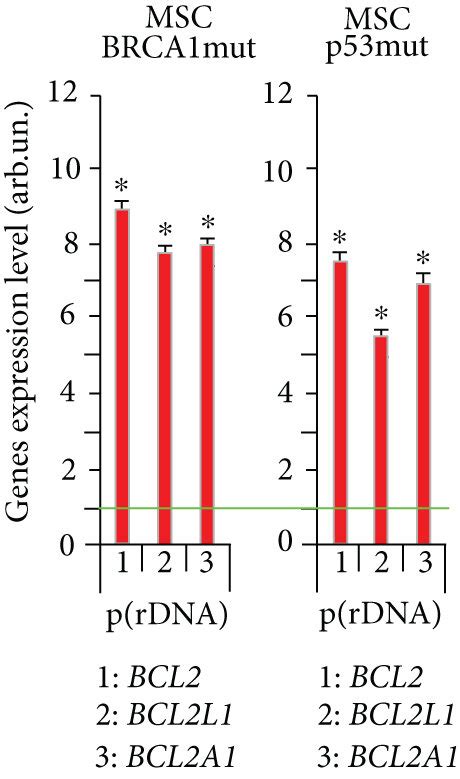 expression level of bcl2 gene a and bcl2 bcl2a1 bcl2l1 birc2