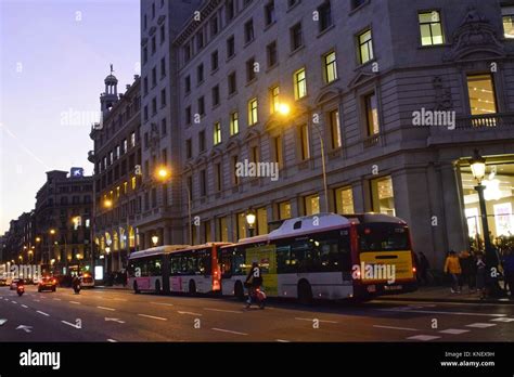 Multiple Buses Can Fit One Stop · Issue 1691 · Citiesskylinesmodstmpe