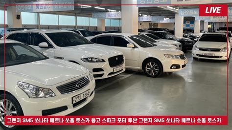 100만원대 중고차 굴러는 가나요 타보고 맘에안들면 100반품가능 L 생방송 L 라이브 L 오토드림 L 인증중고차