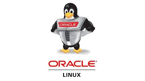 Oracle Linux 91 Ha Llegado Con Unbreakable Enterprise Kernel Release 7 Mega Noticias Informáticas