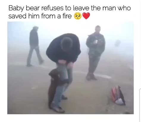 Vignesh Padmalayam Vijay On Linkedin Every Entity On Our Planet Earth Needs To Support The