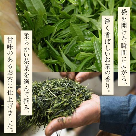 知覧深むし茶桜島別誂3袋 300g 知覧茶 深蒸し茶 鹿児島茶 お茶 送料無料 池田製茶 鹿児島 国産 日本茶 緑茶 カテキン ギフト