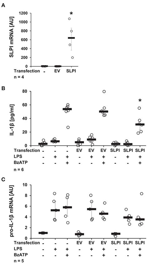 Frontiers SLPI Inhibits ATP Mediated Maturation of IL 1β in Human