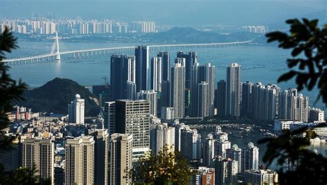 竹子林片区竹子林深圳竹子林大山谷图库