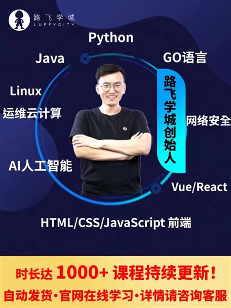 Pythongojavalinux人工智能数据分析前端测试网络安全系列课程虎窝淘