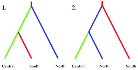 coalescence model data expansion from north to south is the more