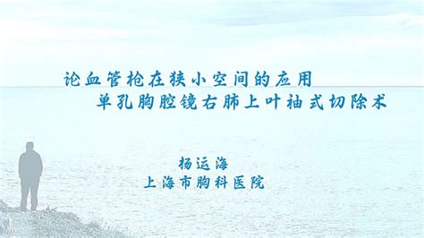 单孔胸腔镜模块化右肺下叶切除术 杨运海 外科技术网