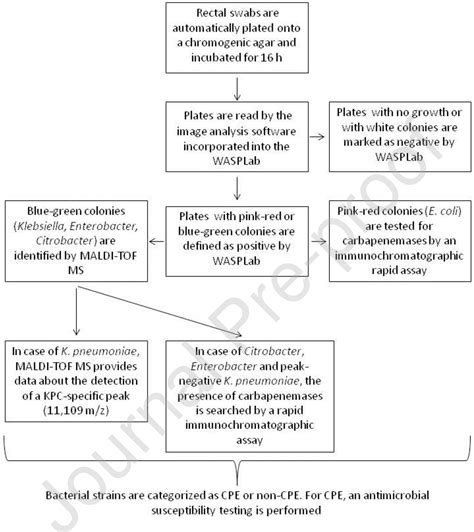 Figure 1 From Rectal Screening Of Carbapenemase Producing Enterobacteriaceae A Proposed